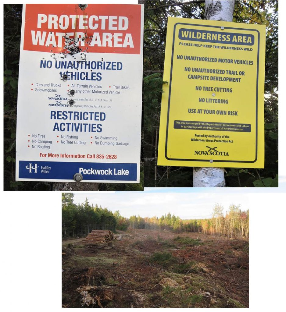 Update on Nova Scotia Crown land logging licenses 8Oct2019 | Nova ...