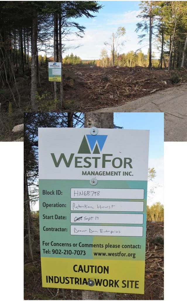 Update on Nova Scotia Crown land logging licenses 8Oct2019 | Nova ...